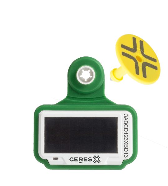 CERES RANCHER Tag - 4Tags.com